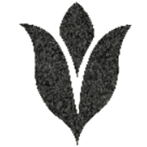 Viyena Moda - Tarzını Viyena ile keşfet